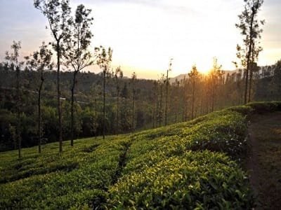 Vythiri Wayanad Sightseeing Tour | Timing | Entry Fee