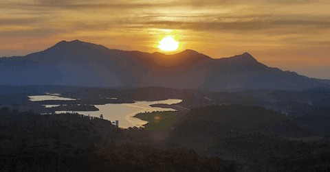 Wayanad 1 Day Trip - How to Plan Best Wayanad Itinerary